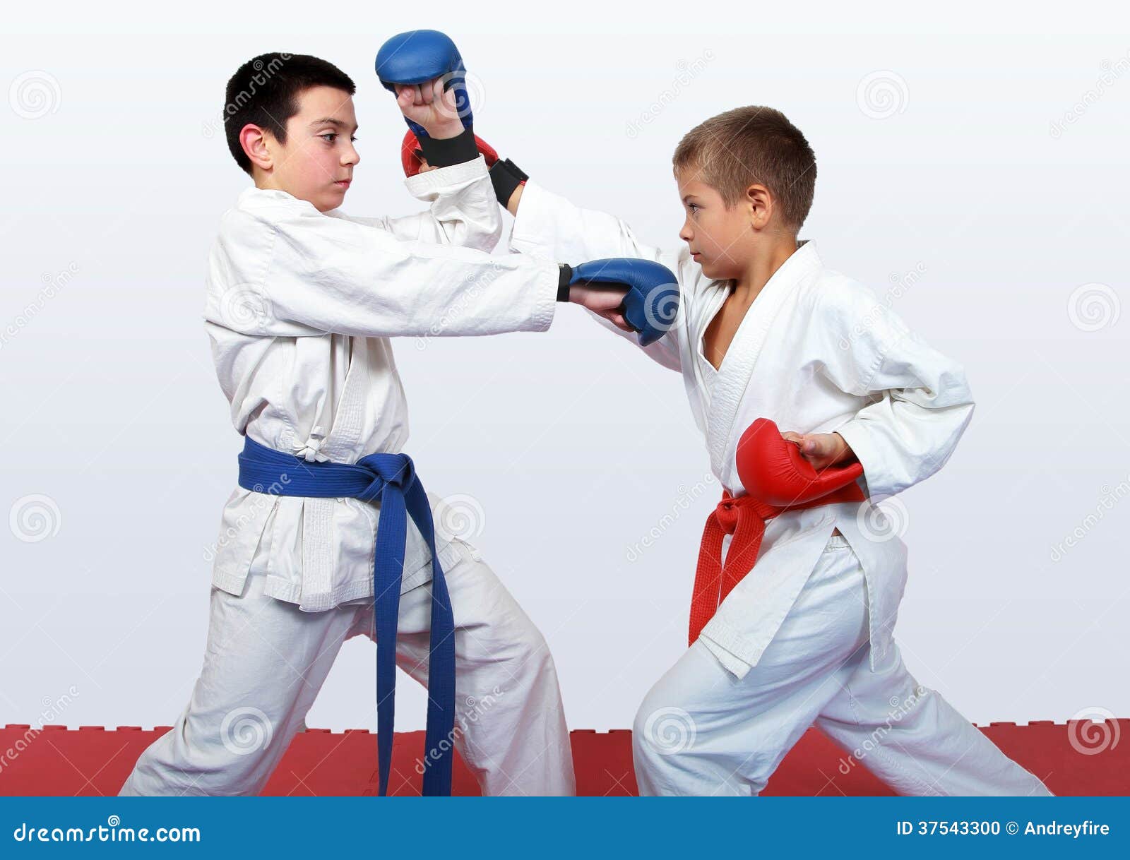 With a Red and a Blue Belt Athletes Doing Paired Exercises Karate Stock ...