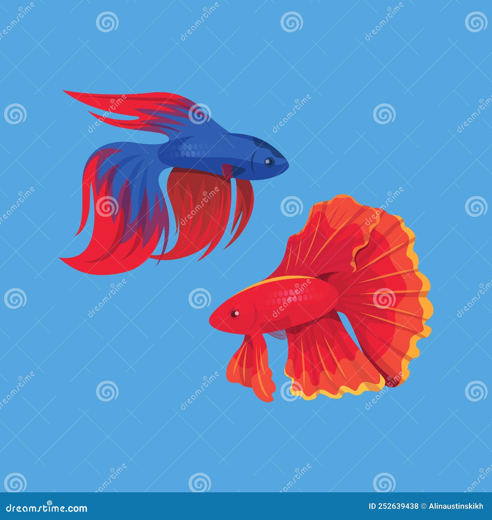 Red and Blue Betta Fish Isolated on Blue Background Stock Illustration ...