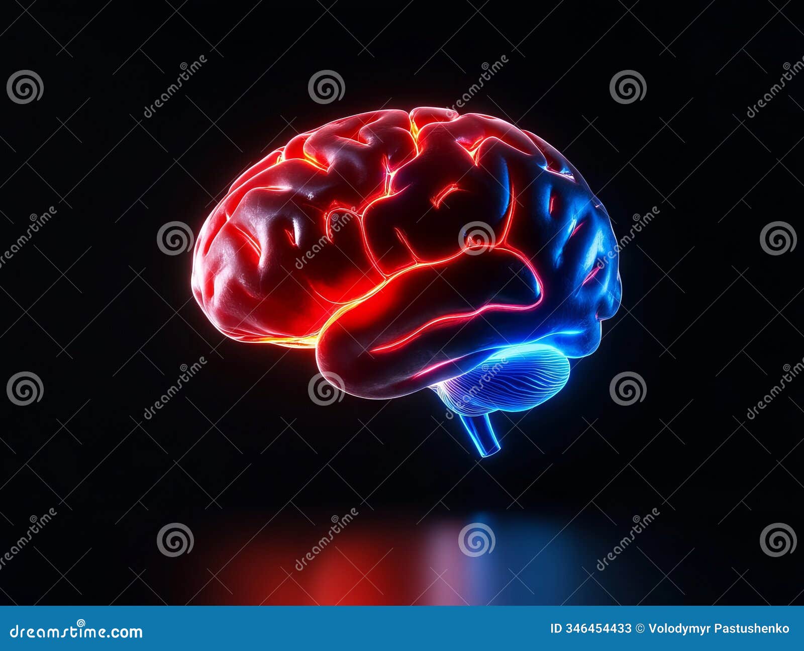 A Red and Blue Brain on a Black Background Stock Illustration ...