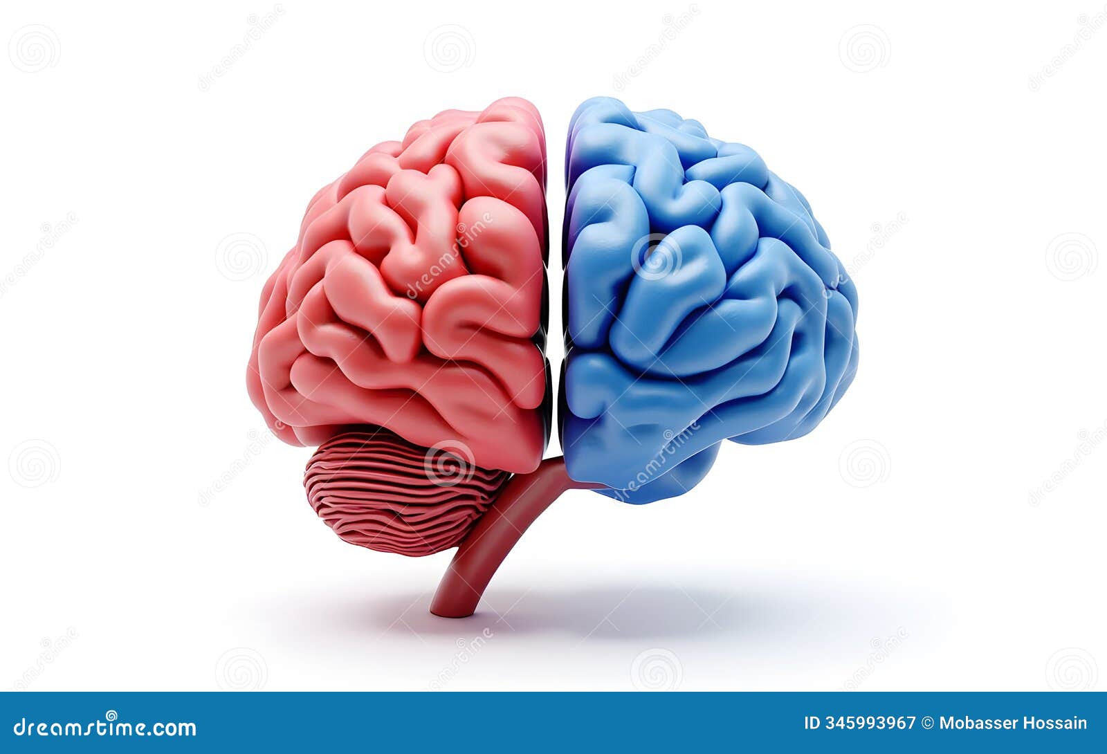 Red Blue Brain Connected Representing, 3D Render, Human Brain, Split ...