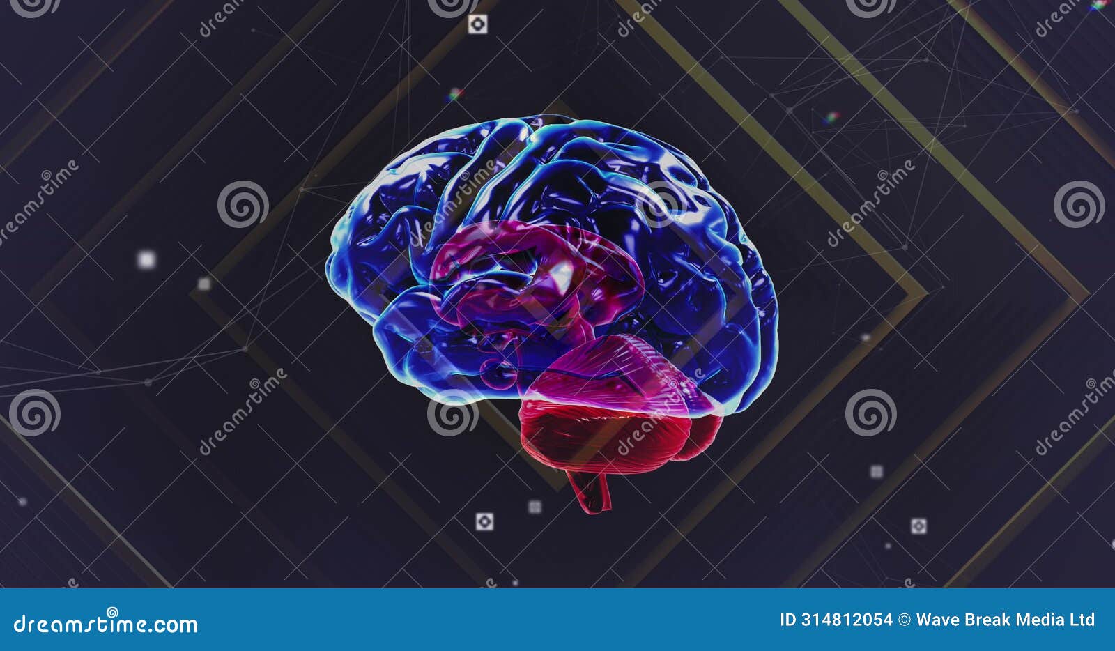 Red and Blue Brain Rotating Over Processing Data and Gold Lines on ...