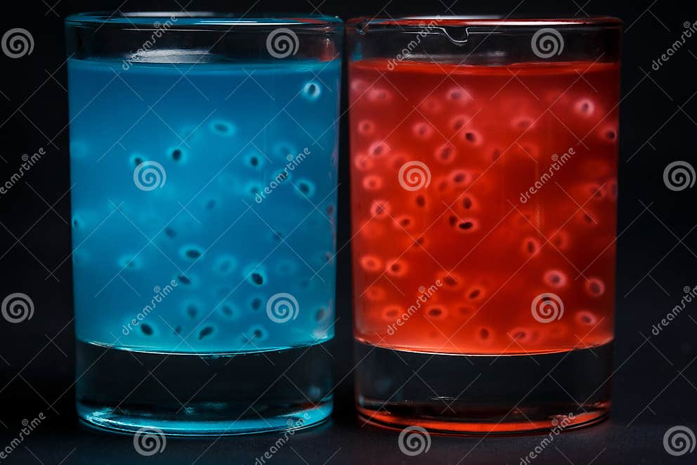 Red and Blue Cocktail on a Black Background Stock Image - Image of ...