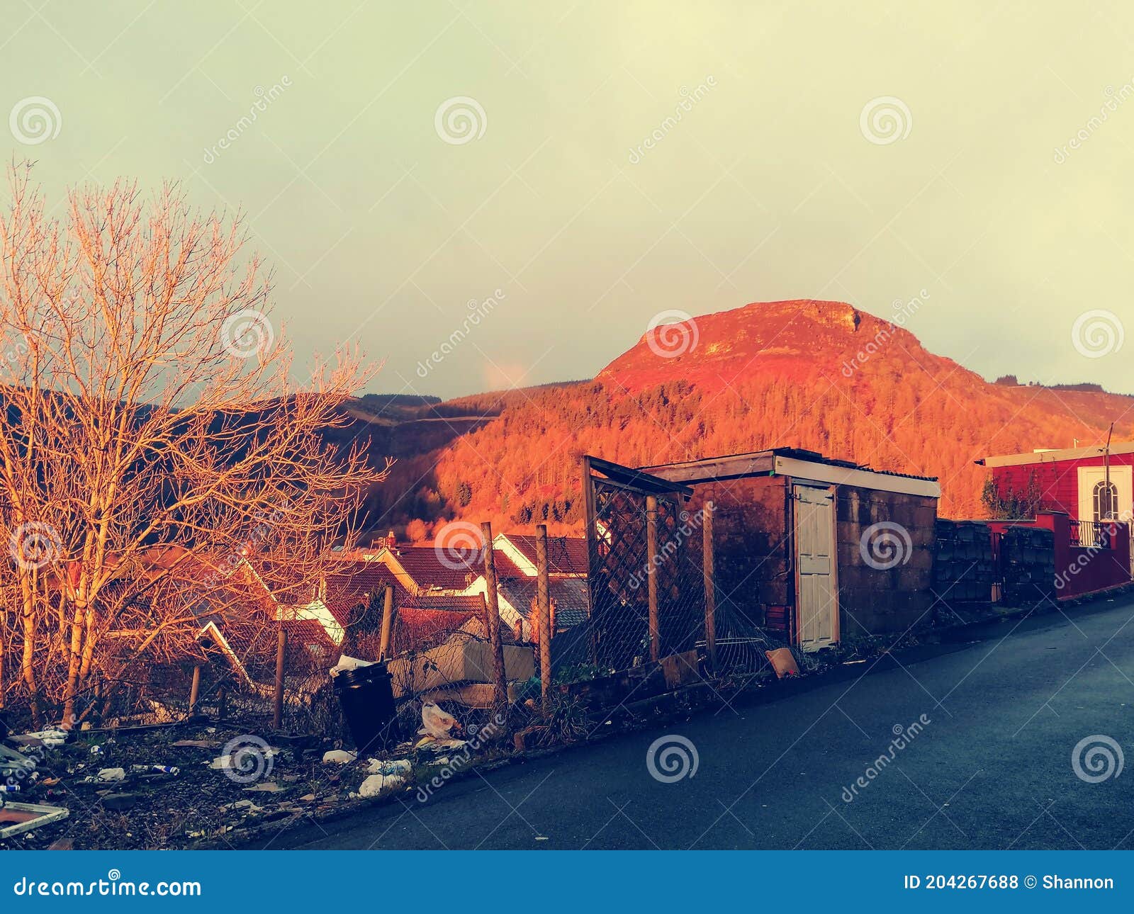 Red blue cold stock photo. Image of snow, cold, blue - 204267688