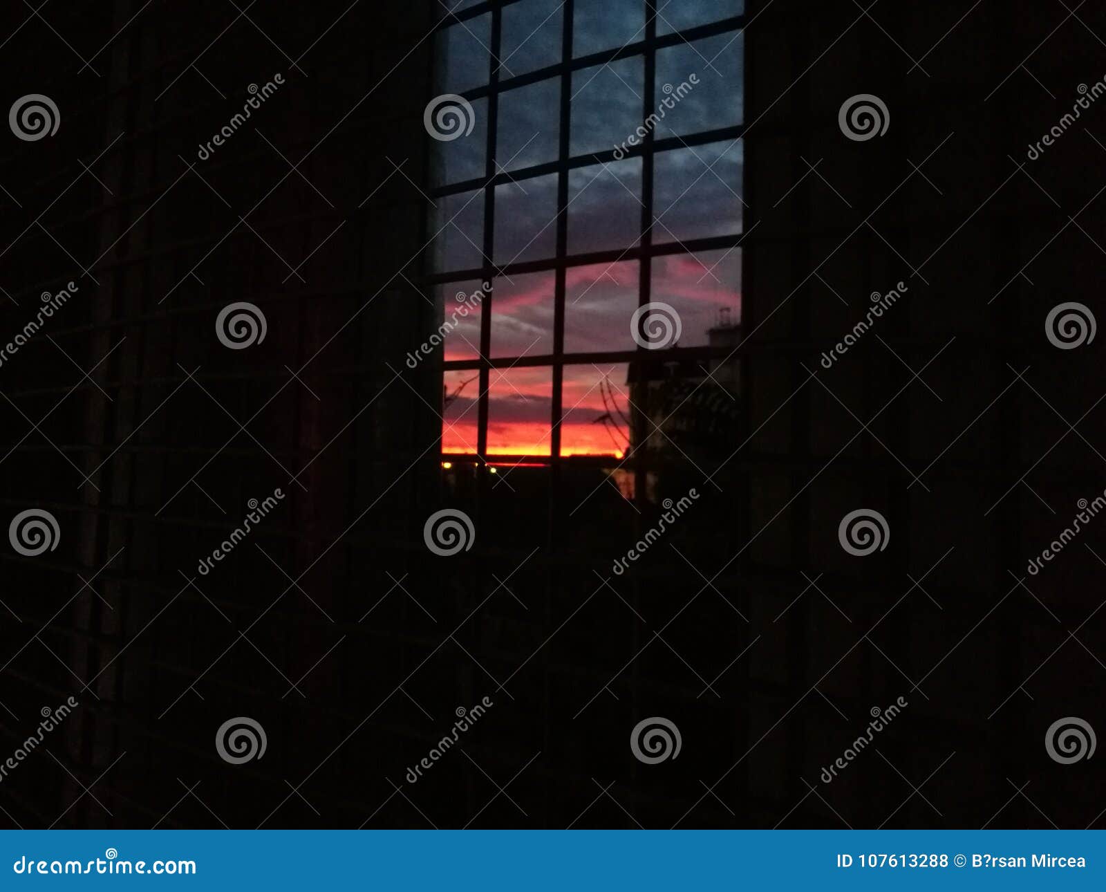 Suns set trough gate stock photo. Image of trough, suns - 107613288