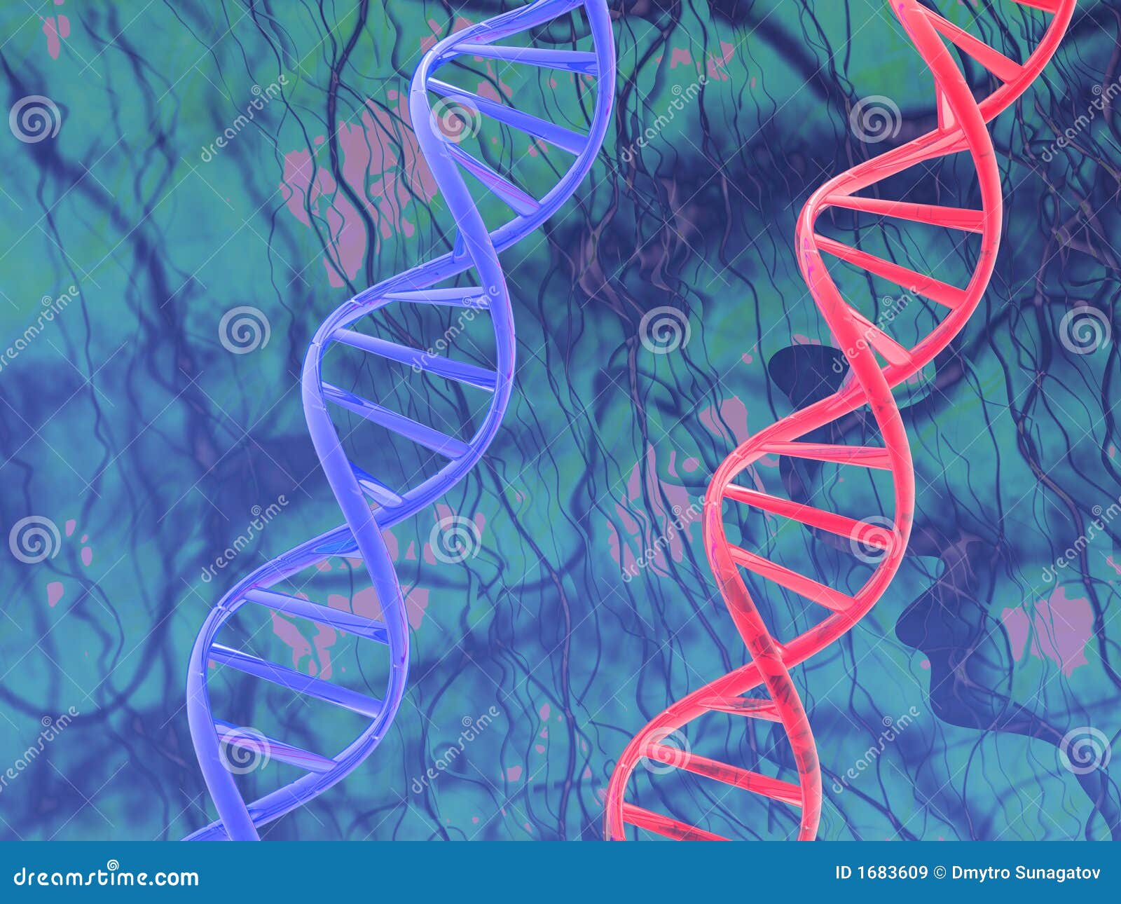 Red & blue dna stock illustration. Illustration of genetically - 1683609
