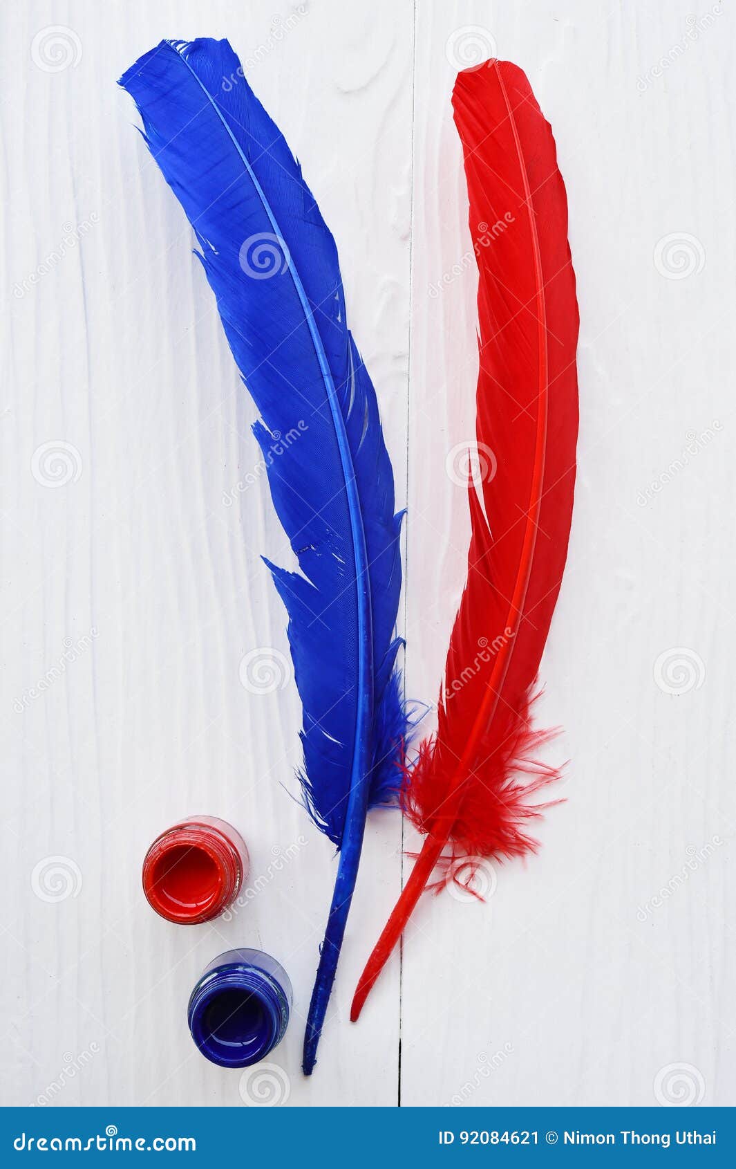 Red and Blue Feather with Ink Stock Image - Image of beautiful, feather ...