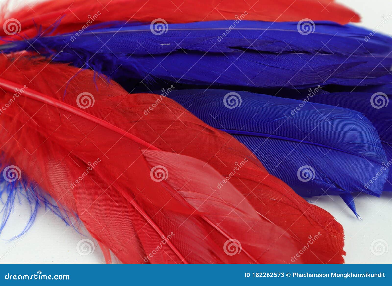 Red and blue feathers stock image. Image of colorful - 182262573