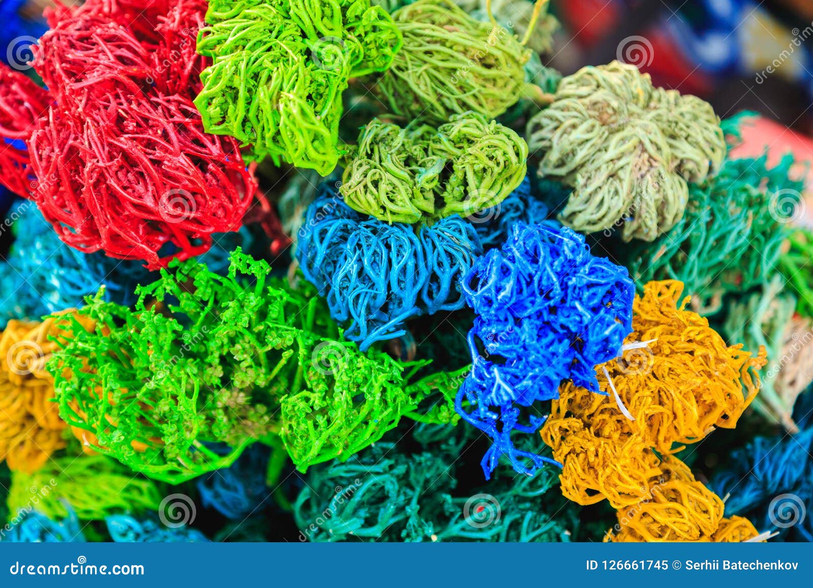 Colored dried algae stock image. Image of colorful, dried - 126661745