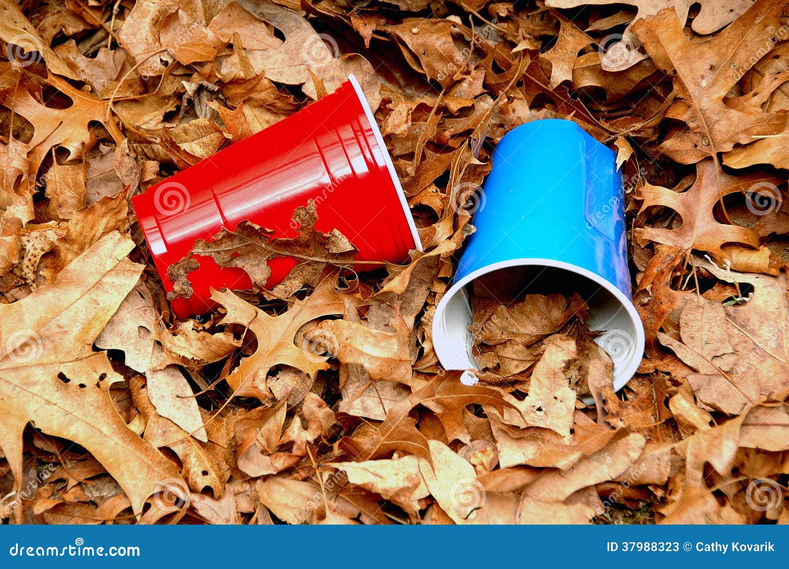 Red Blue Litter stock image. Image of leaves, brown, trash - 37988323