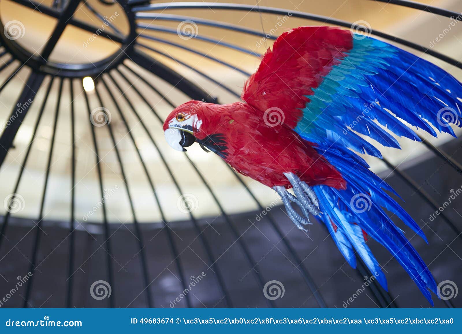 Red Blue Parrot Bird Close Shot in Birdcage Stock Photo - Image of ...