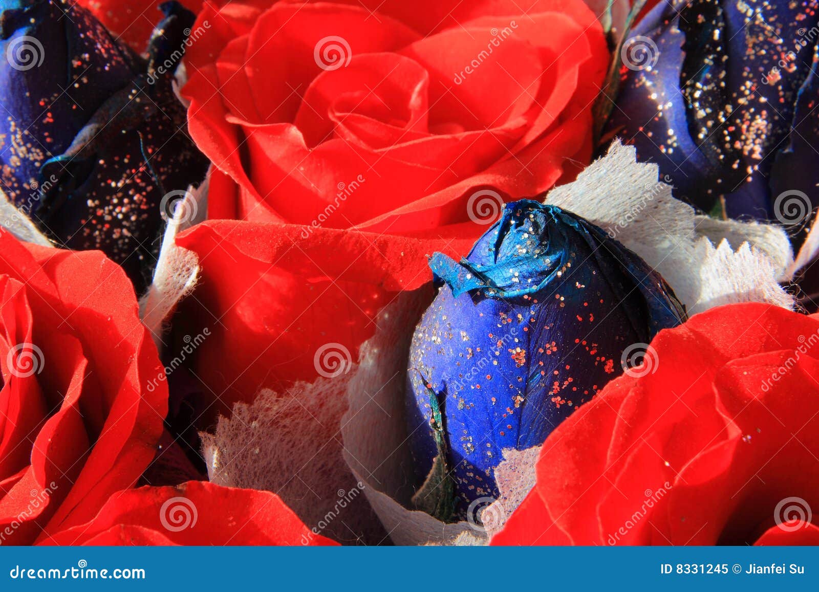 Red and Blue Rose stock image. Image of simplicity, celebration - 8331245