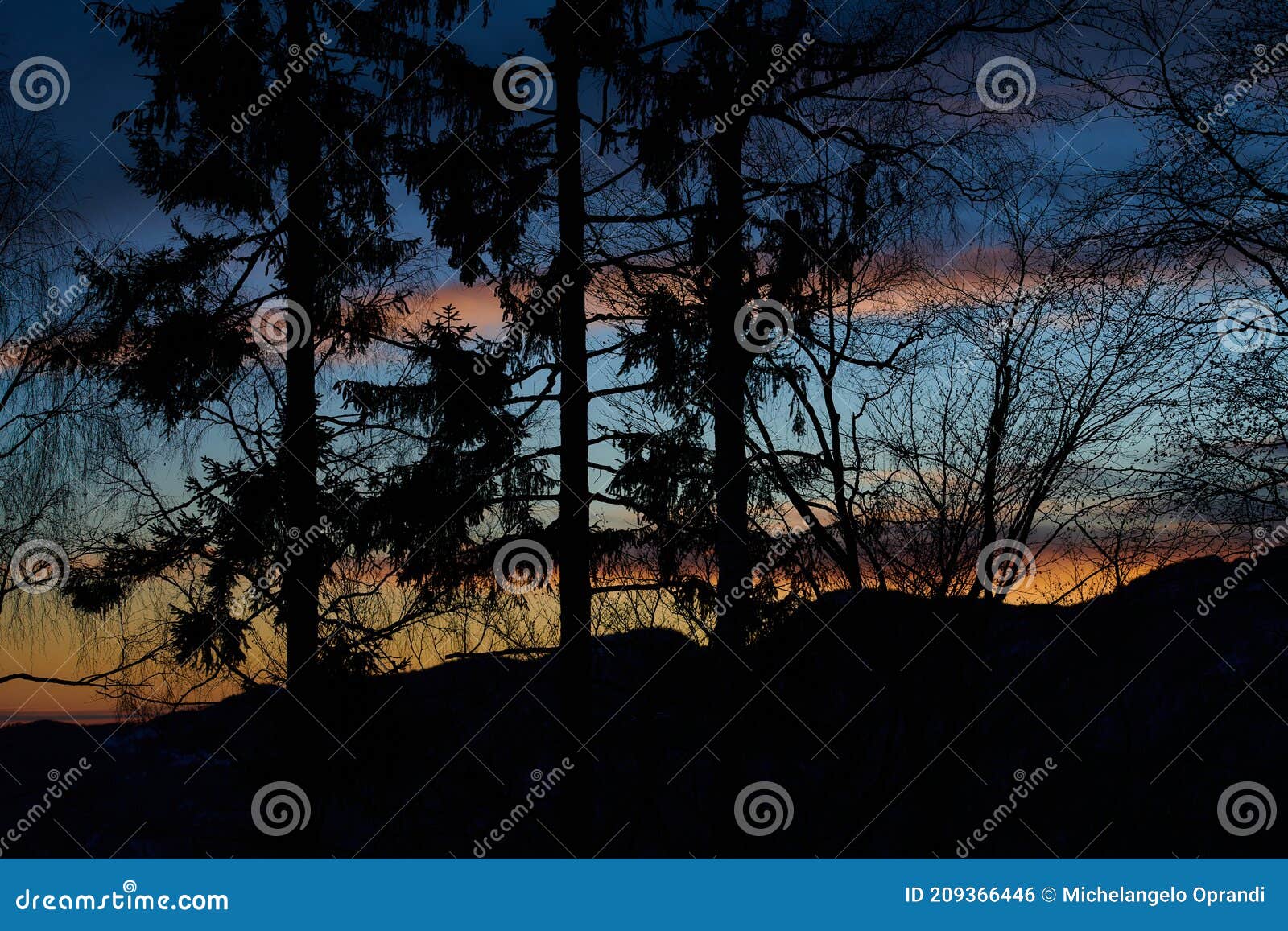 Red and Blue Sunset Colors with Trees in Siulette Stock Photo - Image ...