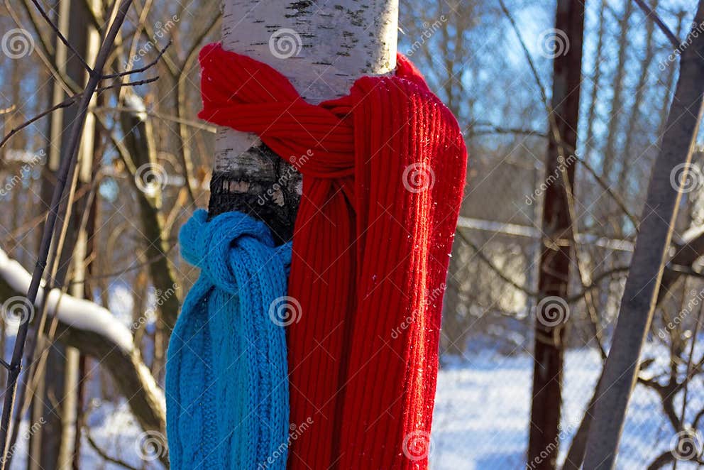 Red and blue stock photo. Image of tree, scene, cold - 37206212