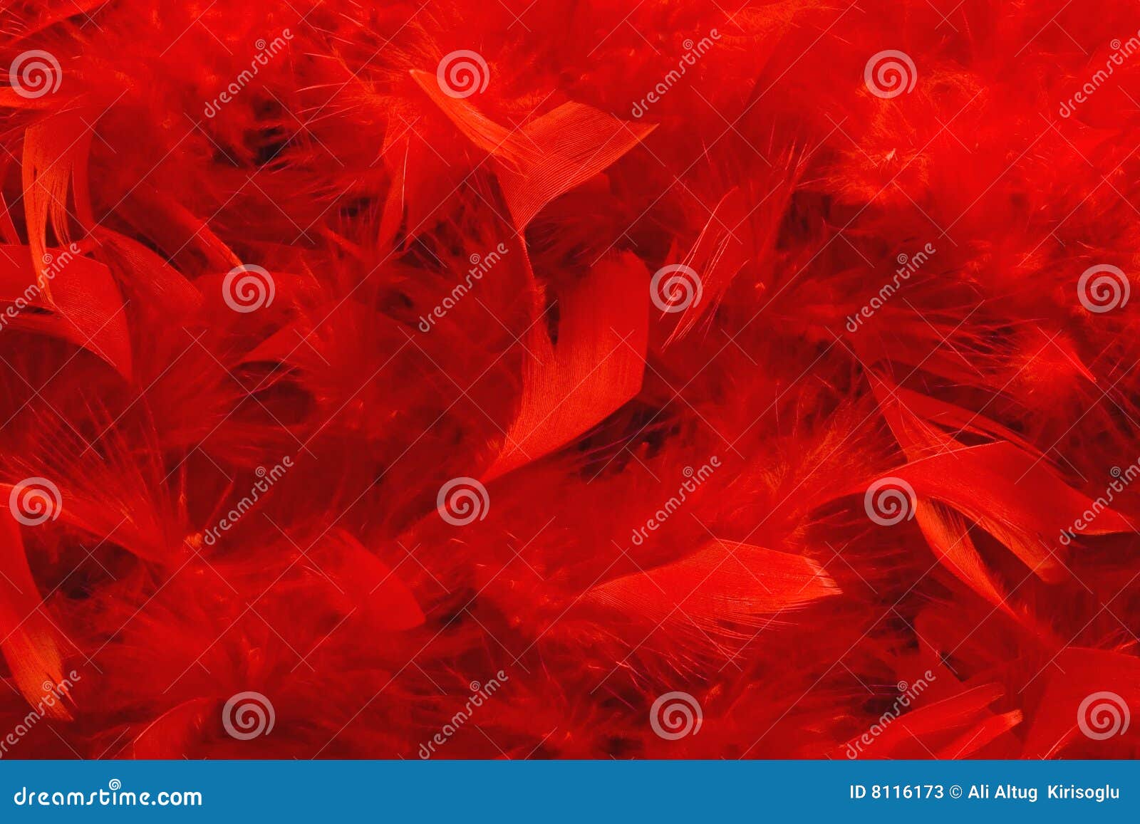 Red Boa Feather Scarf Texture Stock Image - Image of fluffy, couples ...