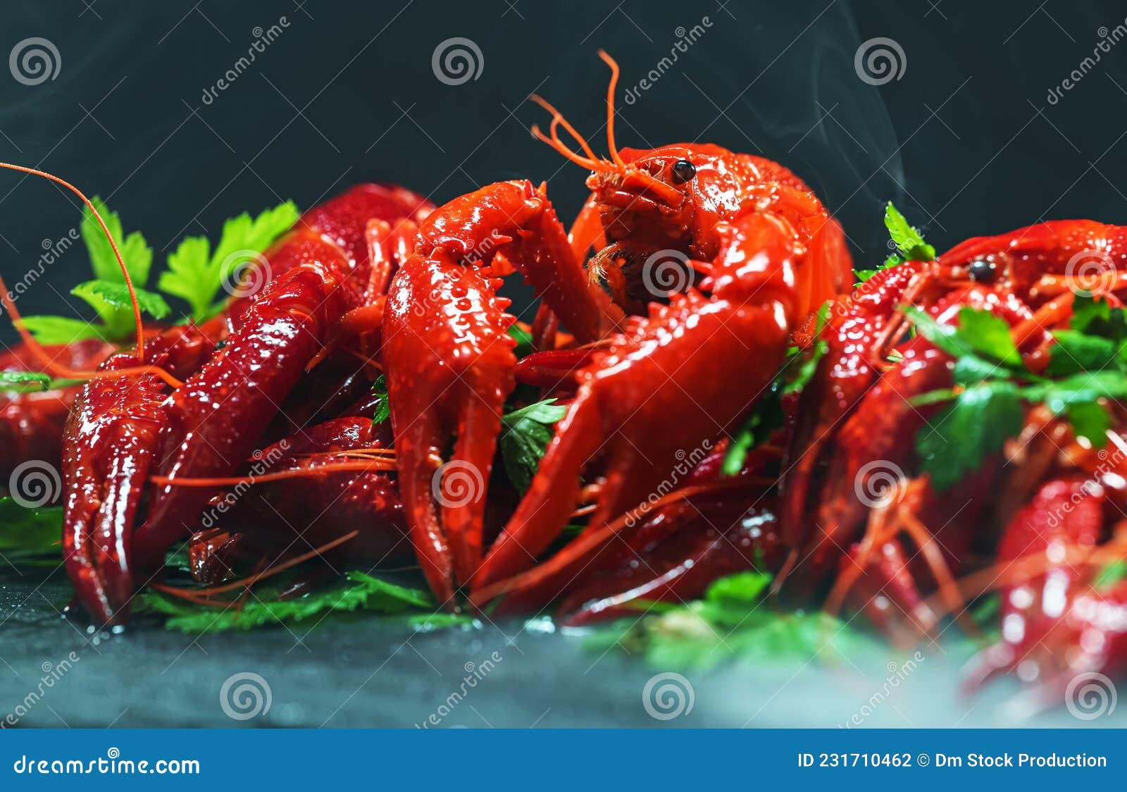 Red boiled cooked crayfish stock photo. Image of delicacy - 231710462