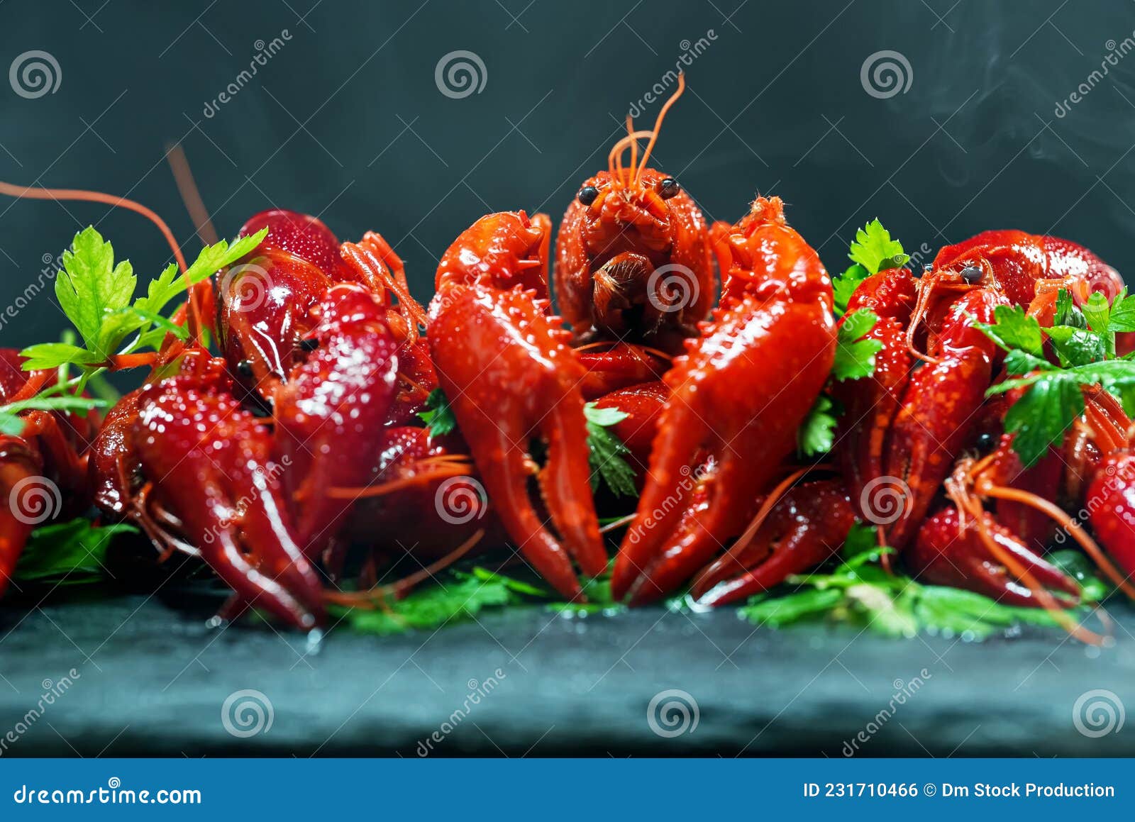 Red boiled cooked crayfish stock photo. Image of crab - 231710466