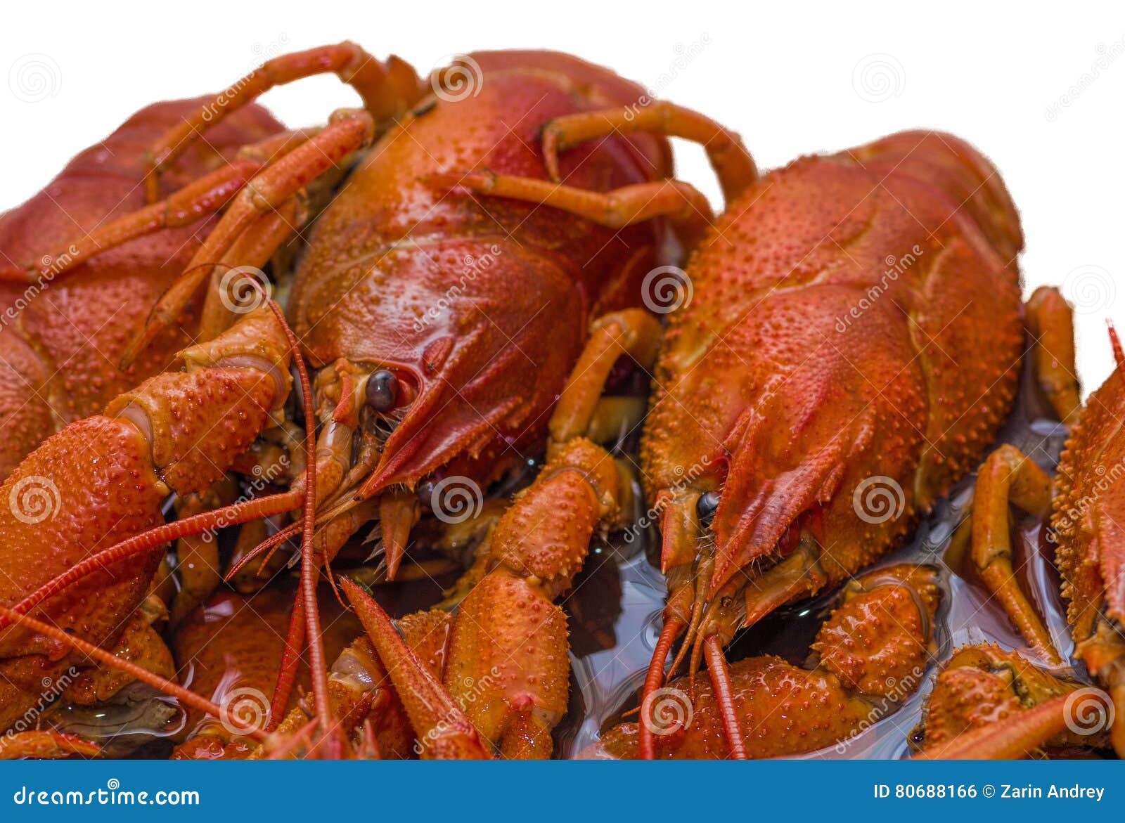 Red boiled crawfish stock photo. Image of crayfish, large - 80688166