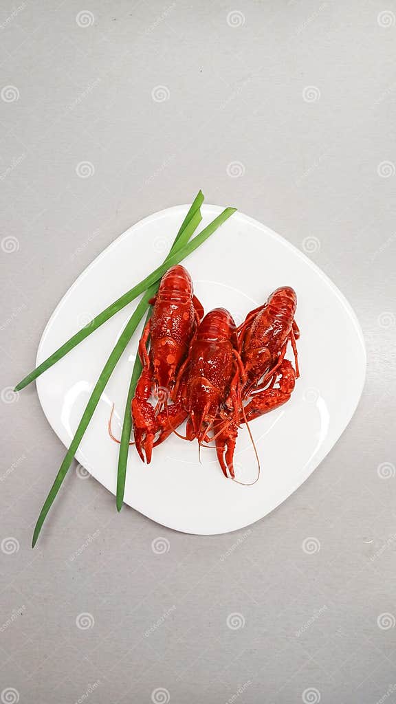Red Boiled Crayfish and Green Onions on a White Plate. Stock Image ... Red Boiled Crayfish and Green Onions on a White Plate. Stock Image ...