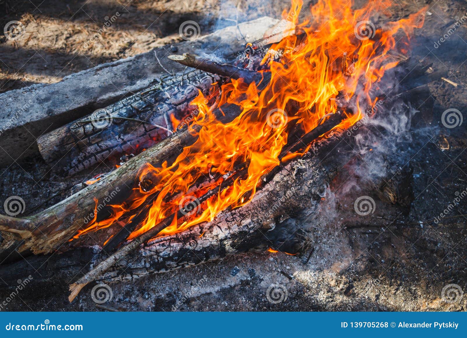 Red Bonfire in the Forest in Spring Stock Photo - Image of dark, fiery ...