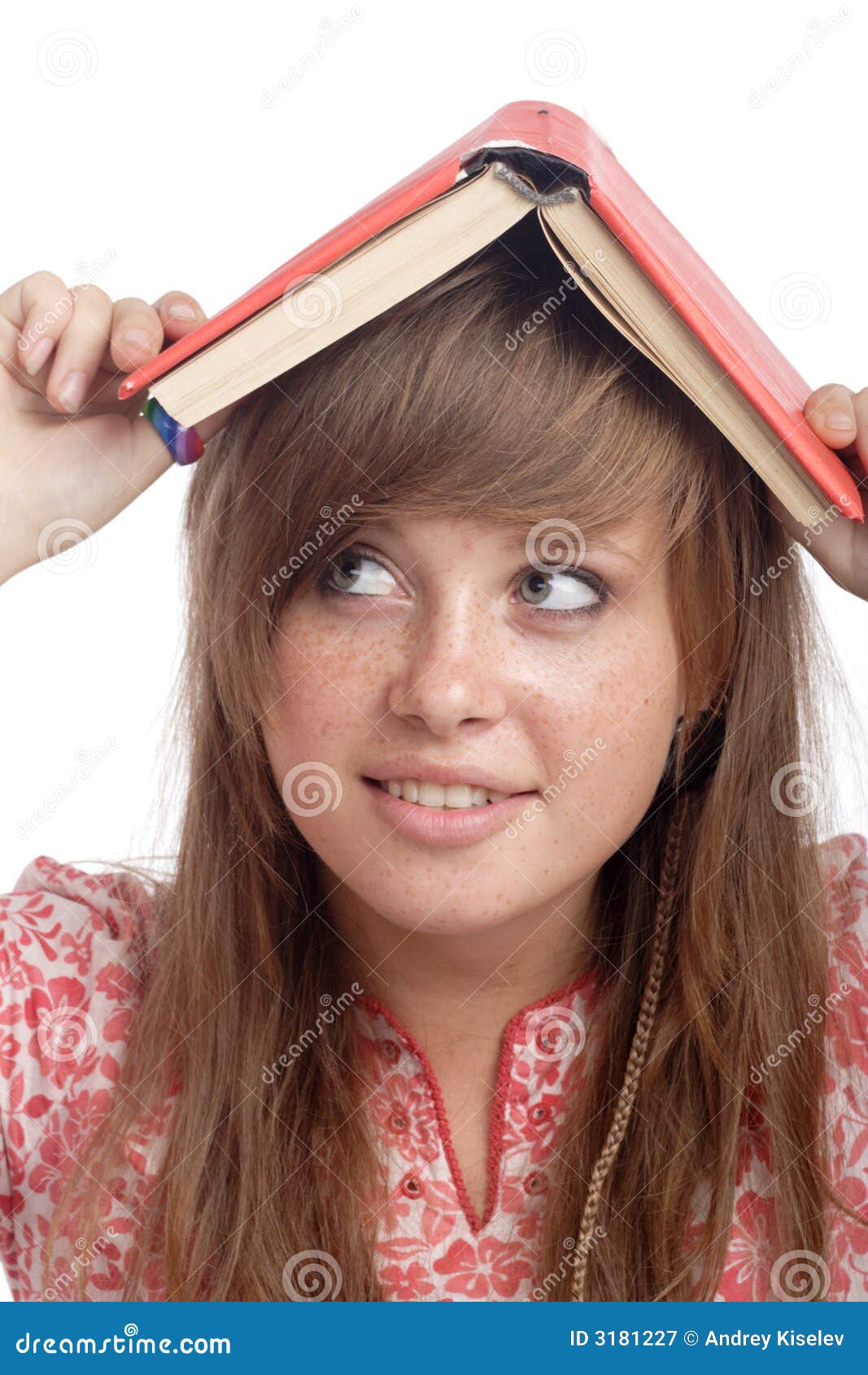 Red book stock image. Image of lesson, lecture, library - 3181227