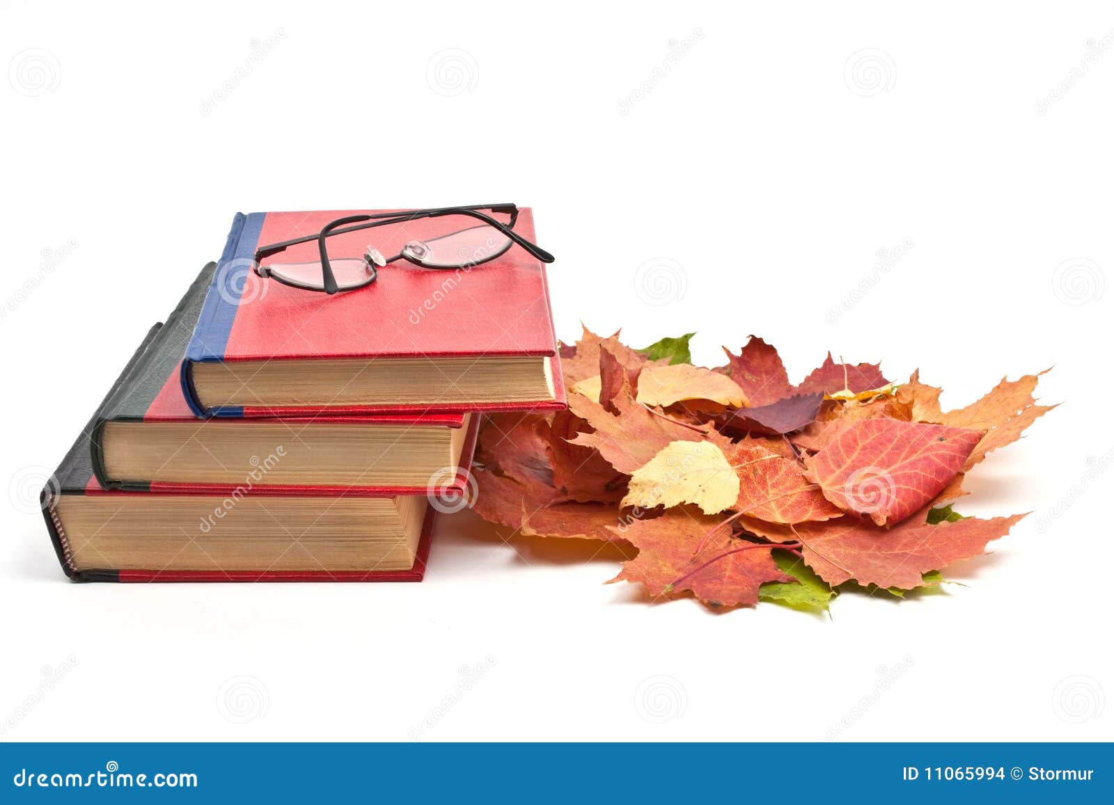Red Books & Maple Leaves Stock Photo - Image of tree, abstract: 11065994