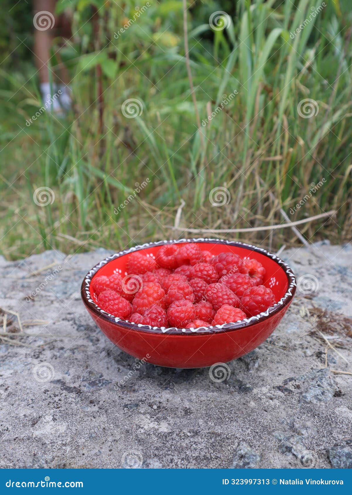 The Red Bowl of Raspberries Outdoor. Stock Image - Image of summer ...