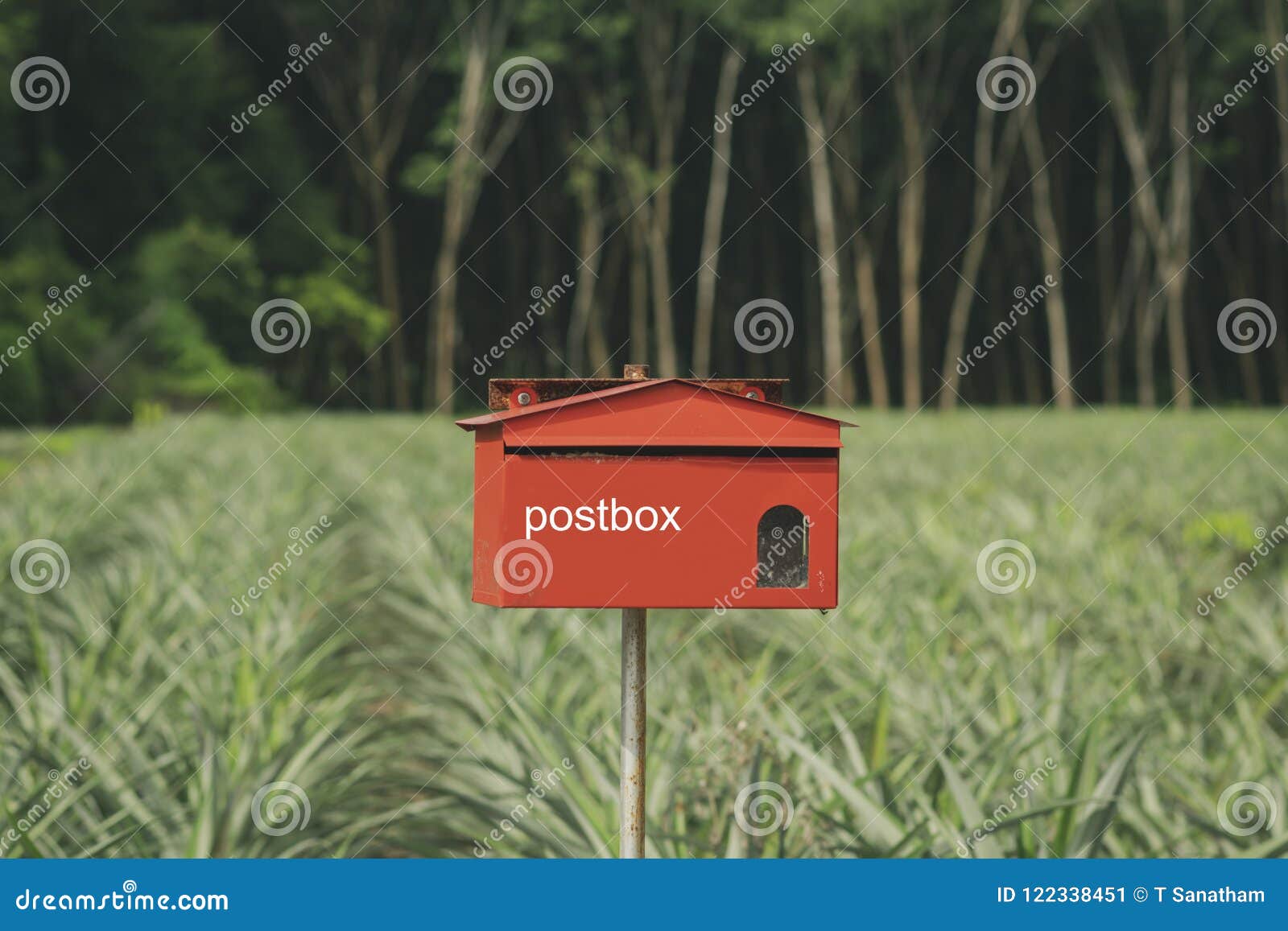 Mailbox in the forest. stock image. Image of message - 122338451