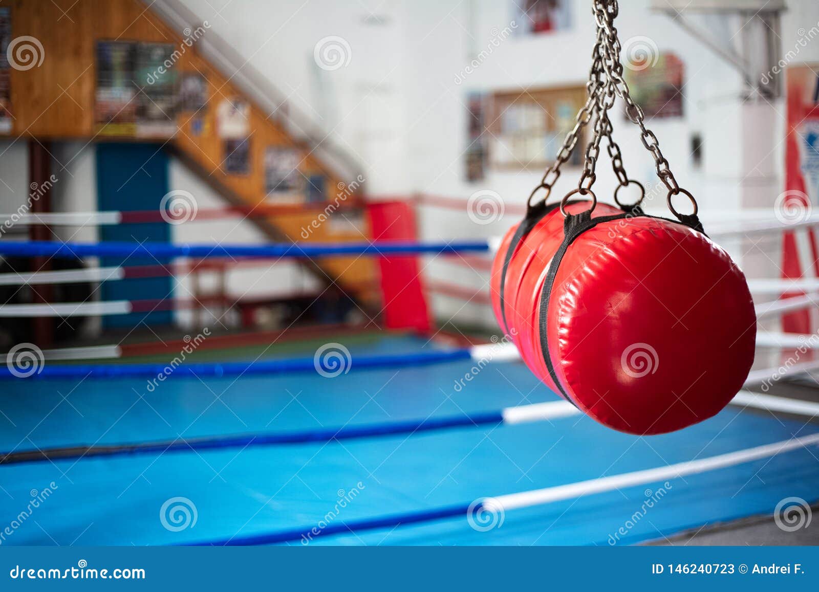 Red Boxing Equipment in the Gym Class Stock Image - Image of indoors ...