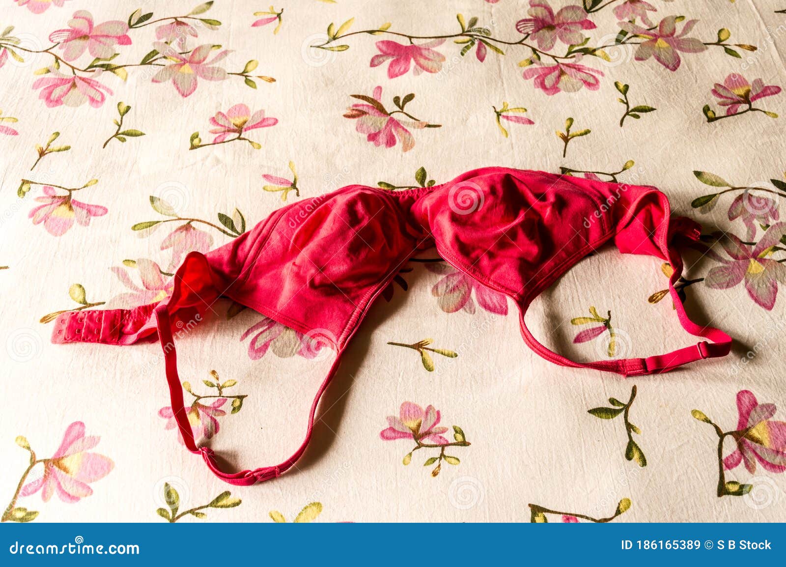 Red Bra On Morning Bed Sheet Sunlight From Window Romantic Passion Female Lingerie Fashion