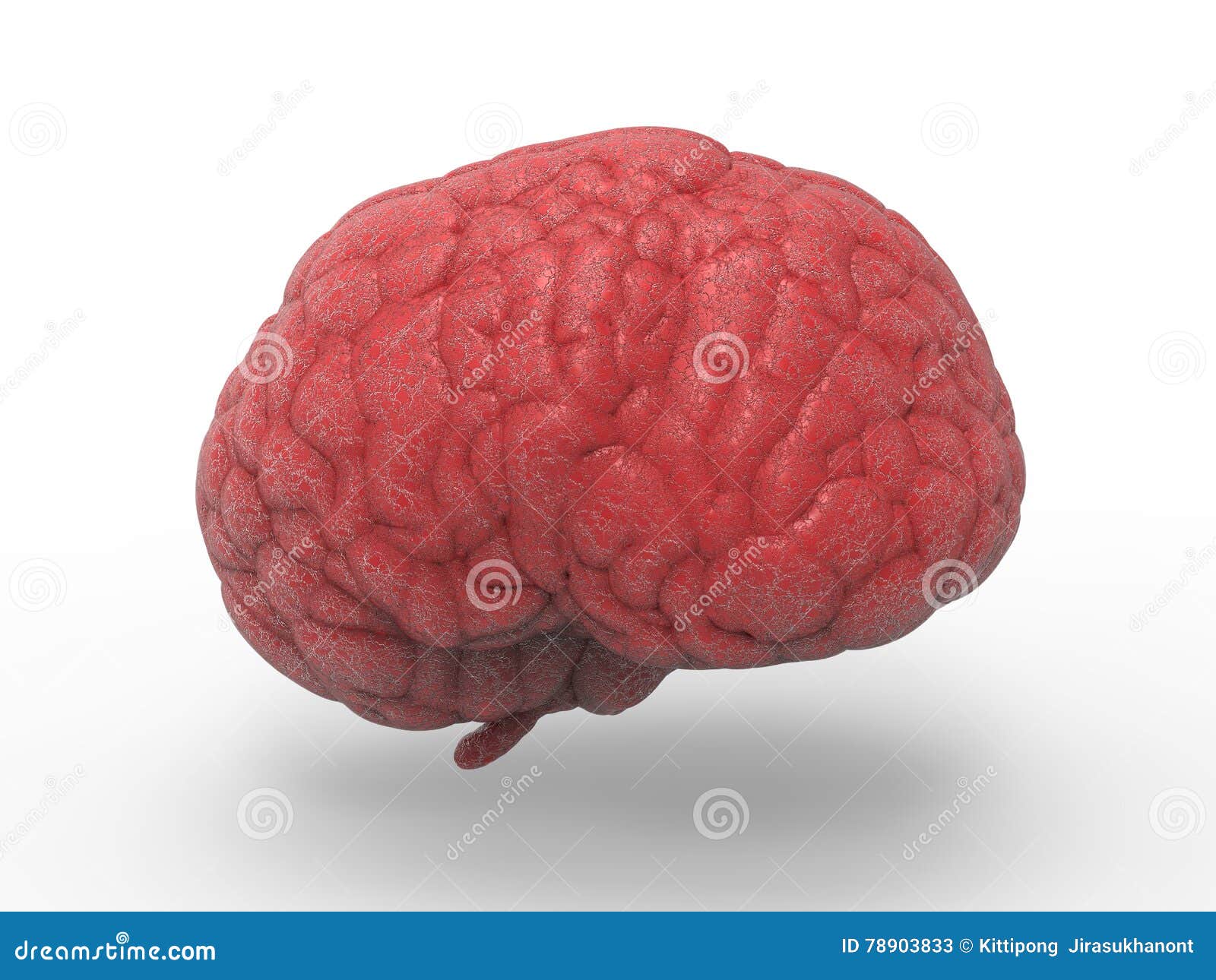 Red brain stock illustration. Illustration of white, brain - 78903833