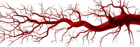 Red Branching Network Abstract Image Network System Connection ...