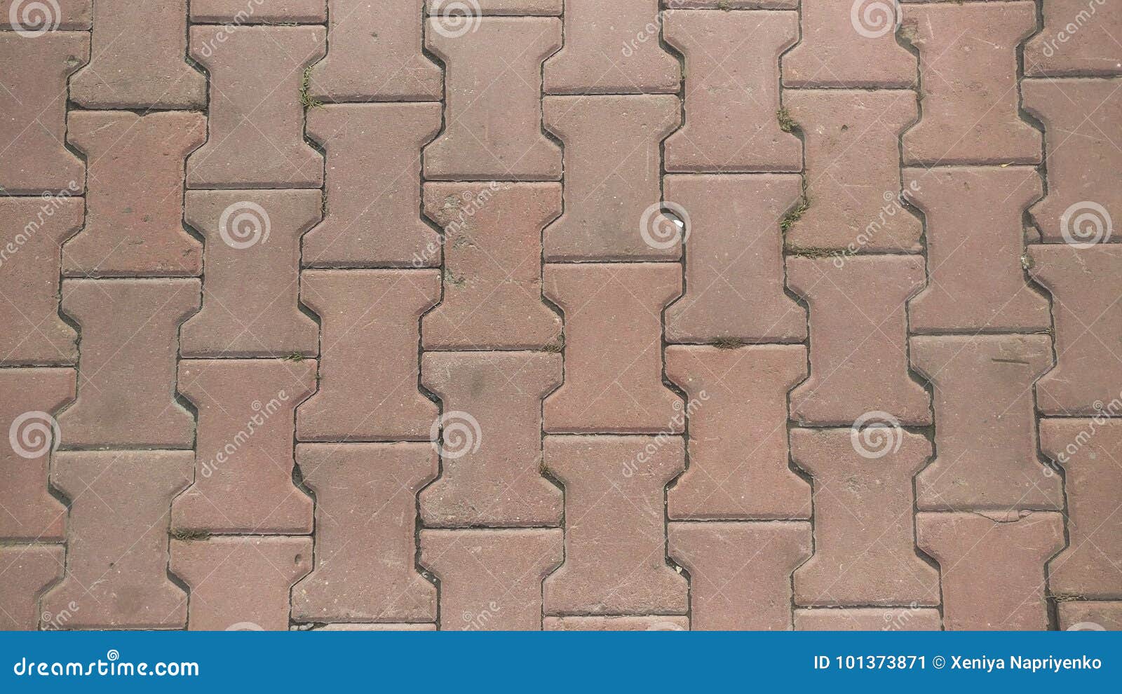 Cobble stone path stock image. Image of abstract, background - 101373871