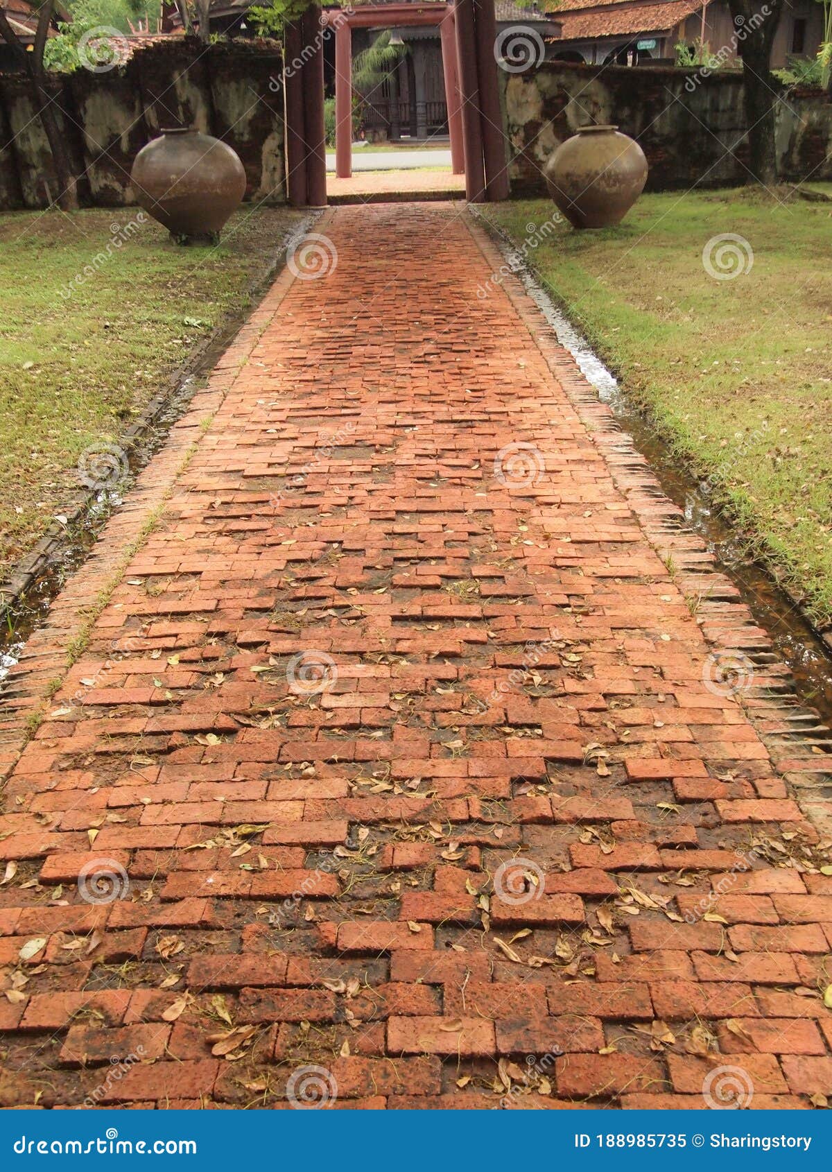 Red Brick Block Stone Footpath with Grass in the Garden Stock Image ...
