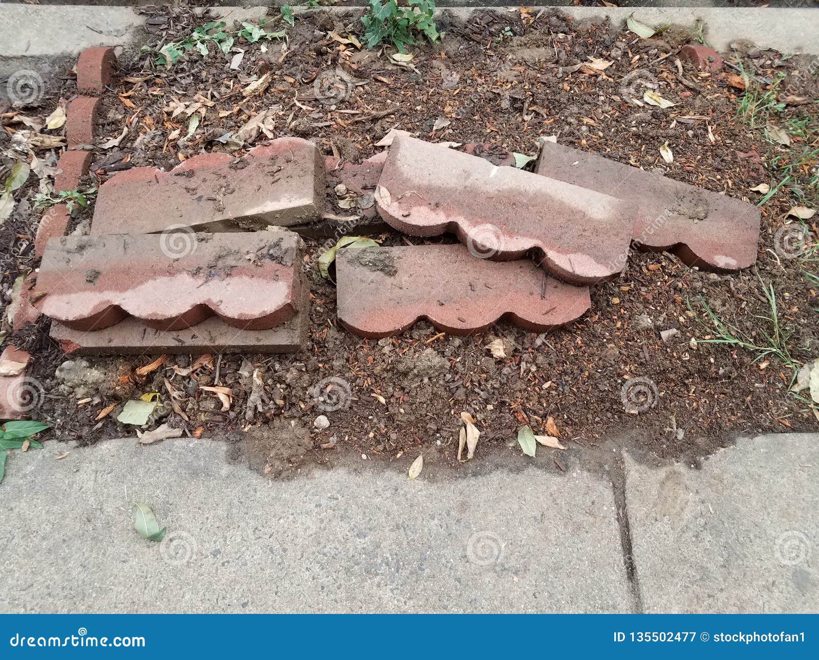 Red Brick Borders in Dirt and Grey Cement Stock Image - Image of border ...