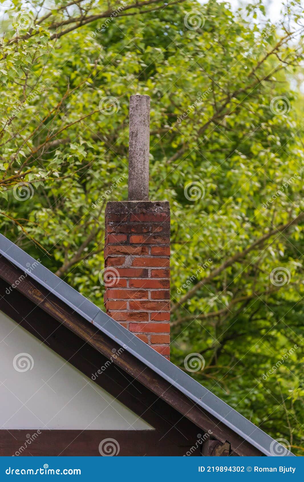 Red Brick Chimney On A Sloping Roof. In The Background Are Green Trees ...