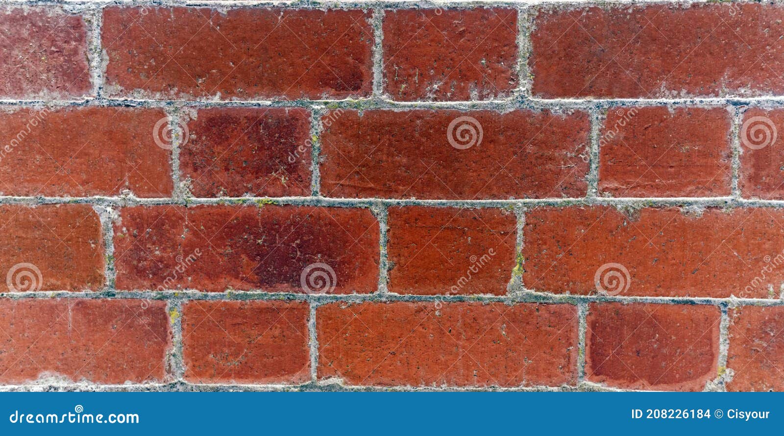 Wall Tiles Elevation Design Stock Photo - Image of grung, property ...