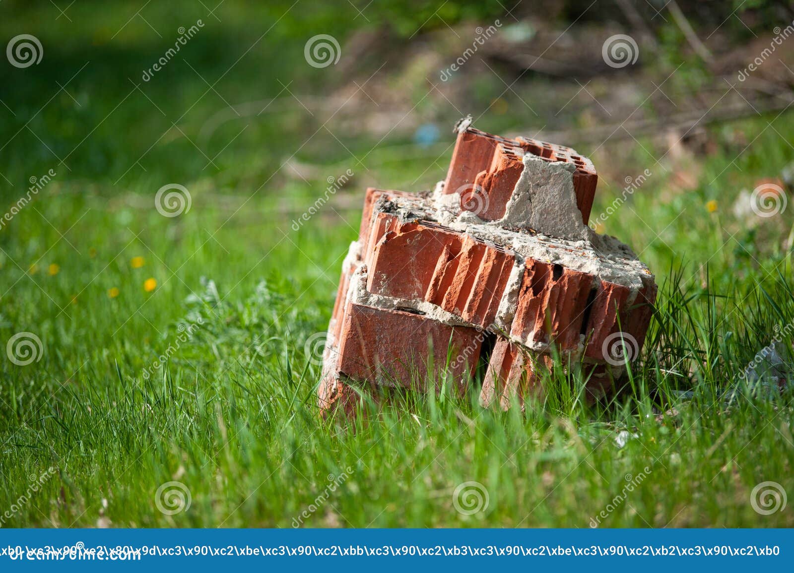 Red Brick on Green Dense Grass, Brick on the Lawn Stock Photo - Image ...