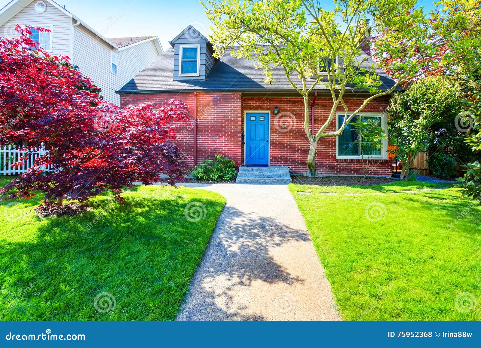 Red Brick House with Tile Roof and Maple Tree in the Front Yard Stock ...
