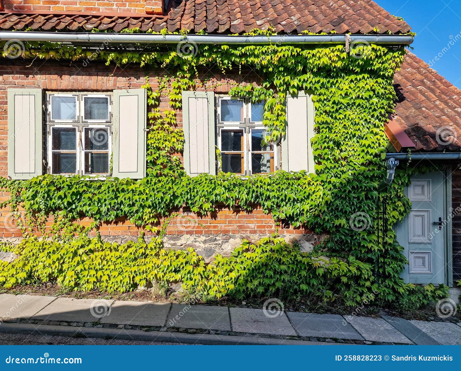 Red Brick House and Windows Overgrown with Vines Stock Image - Image of ...