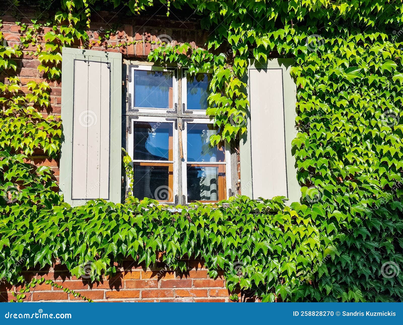 Red Brick House and Windows Overgrown with Vines Stock Photo - Image of ...