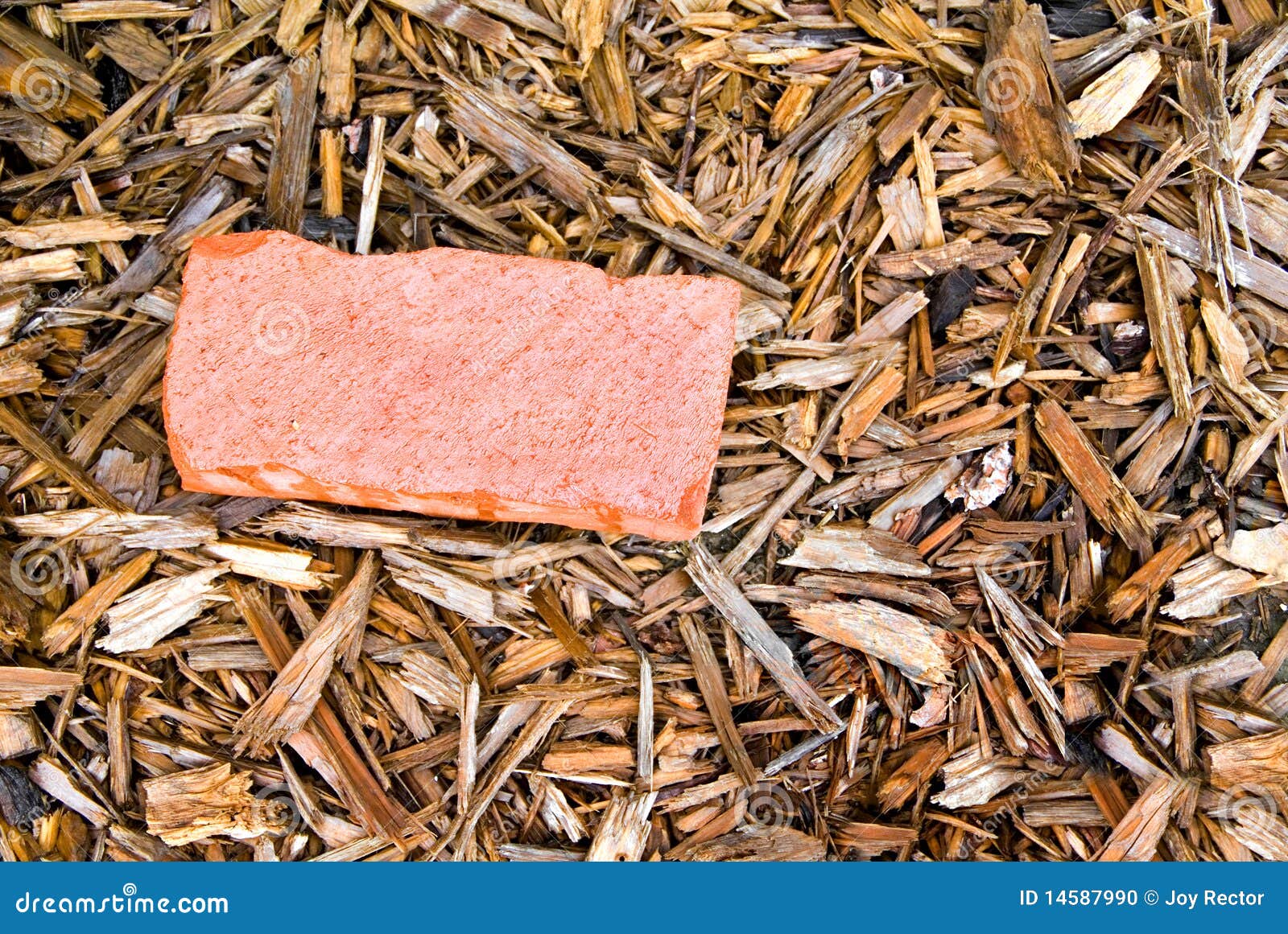 Red Brick in Mulch stock photo. Image of wood, compost - 14587990