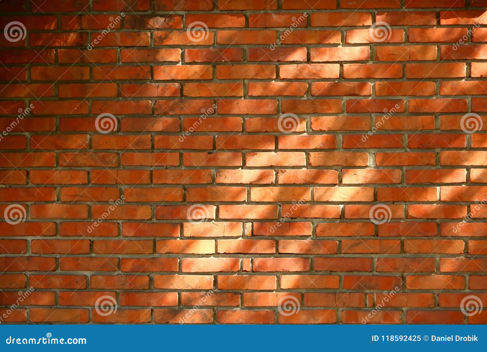 A Red Brick Wall with Falling Sun Rays through the Leaves. Stock Image ...