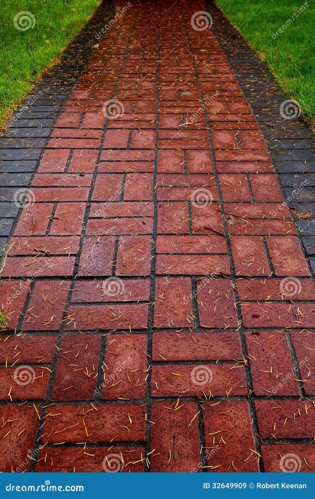 Red Brick path on lawn stock image. Image of green, perspective - 32649909