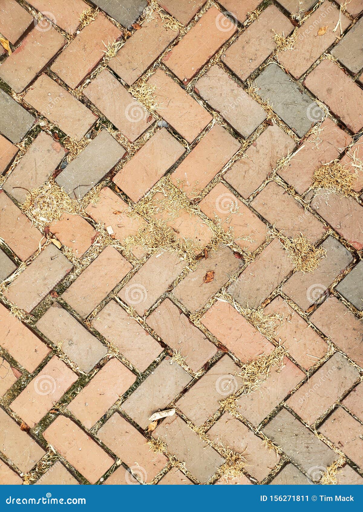 Red Brick Path Way Over Head Texture Wit Pattern Stock Image - Image of ...