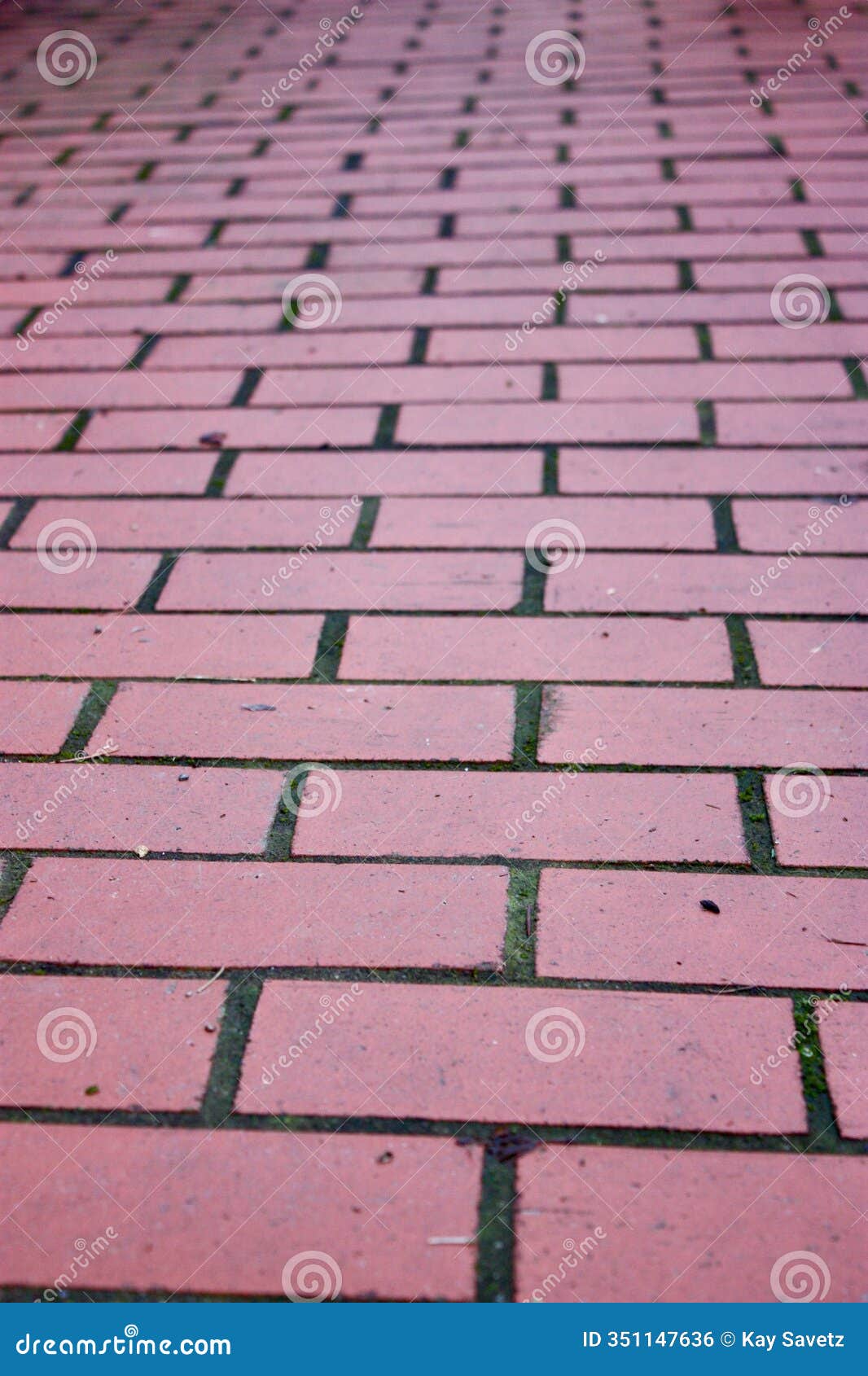 Red Brick Pathway Texture stock photo. Image of walkway - 351147636