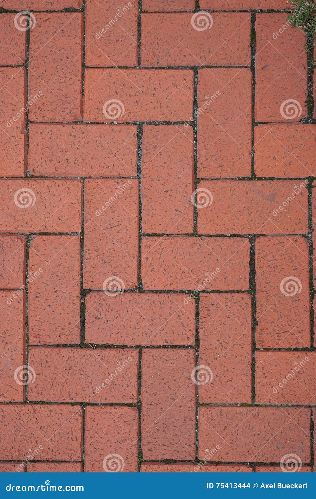 Red brick paving stones stock photo. Image of paving - 75413444
