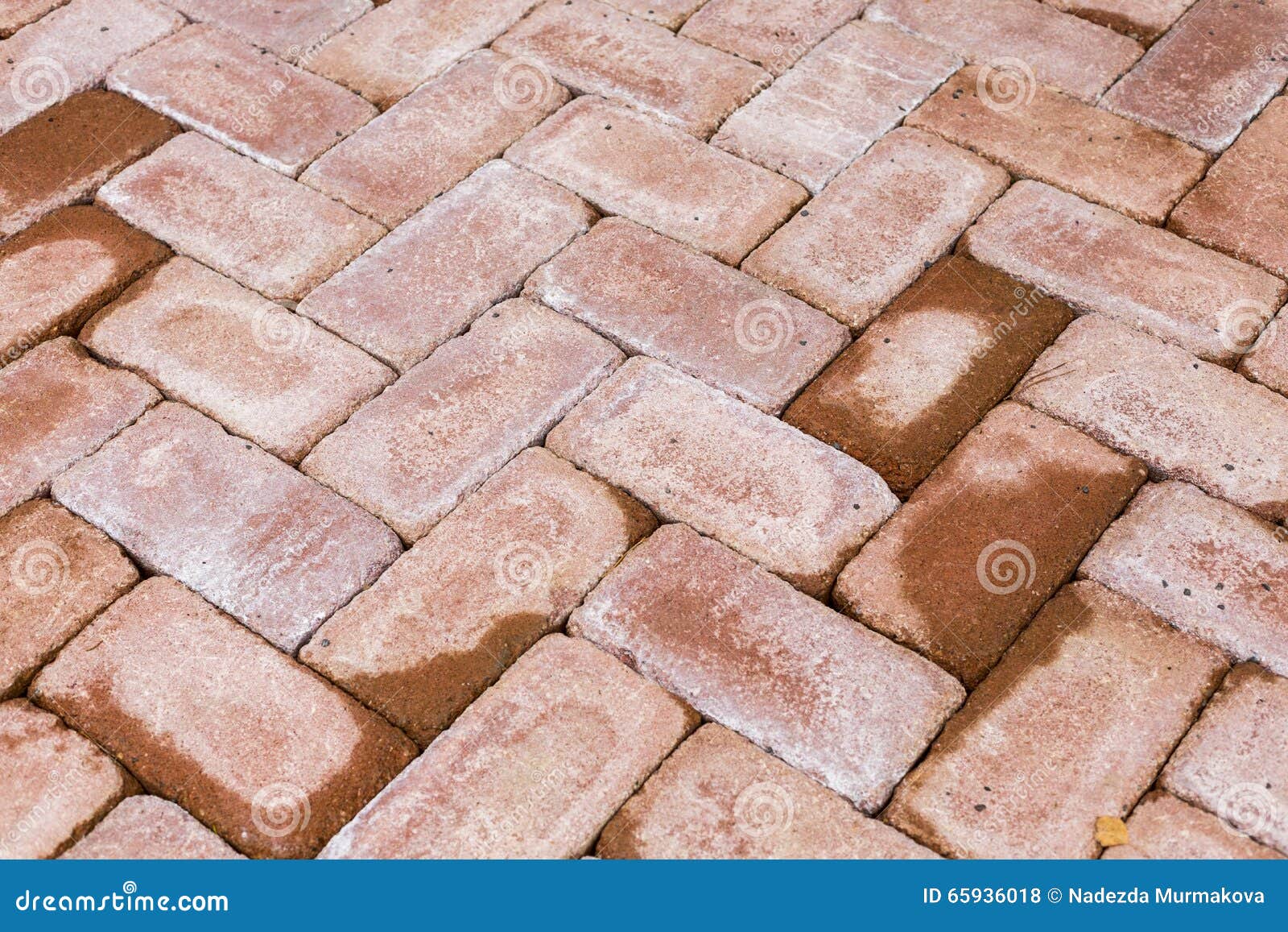 Red Brick Paving Stones on a Sidewalk Stock Photo - Image of hardscape ...