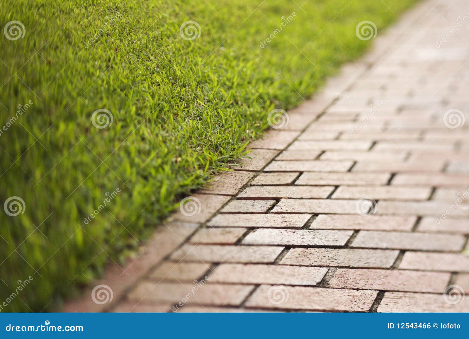 318 Brick Straight Walkway Stock Photos - Free & Royalty-Free Stock ...