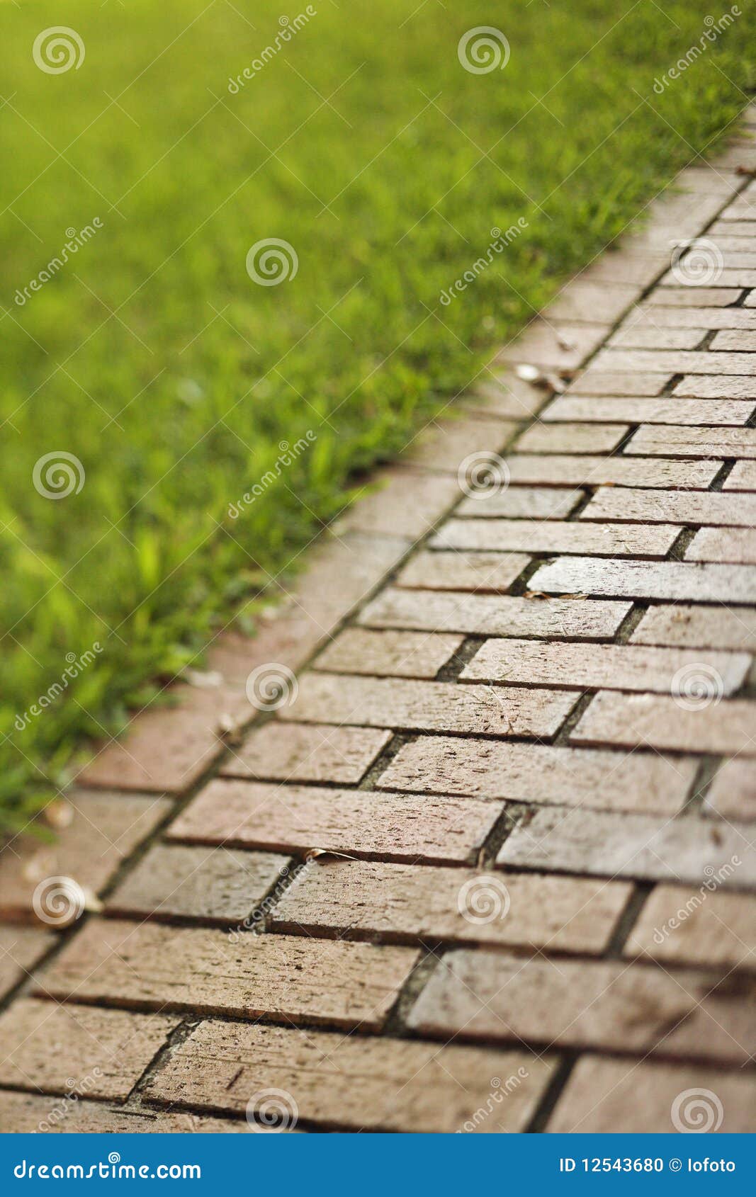 Red Brick Walkway stock photo. Image of bricks, pathway - 12543680