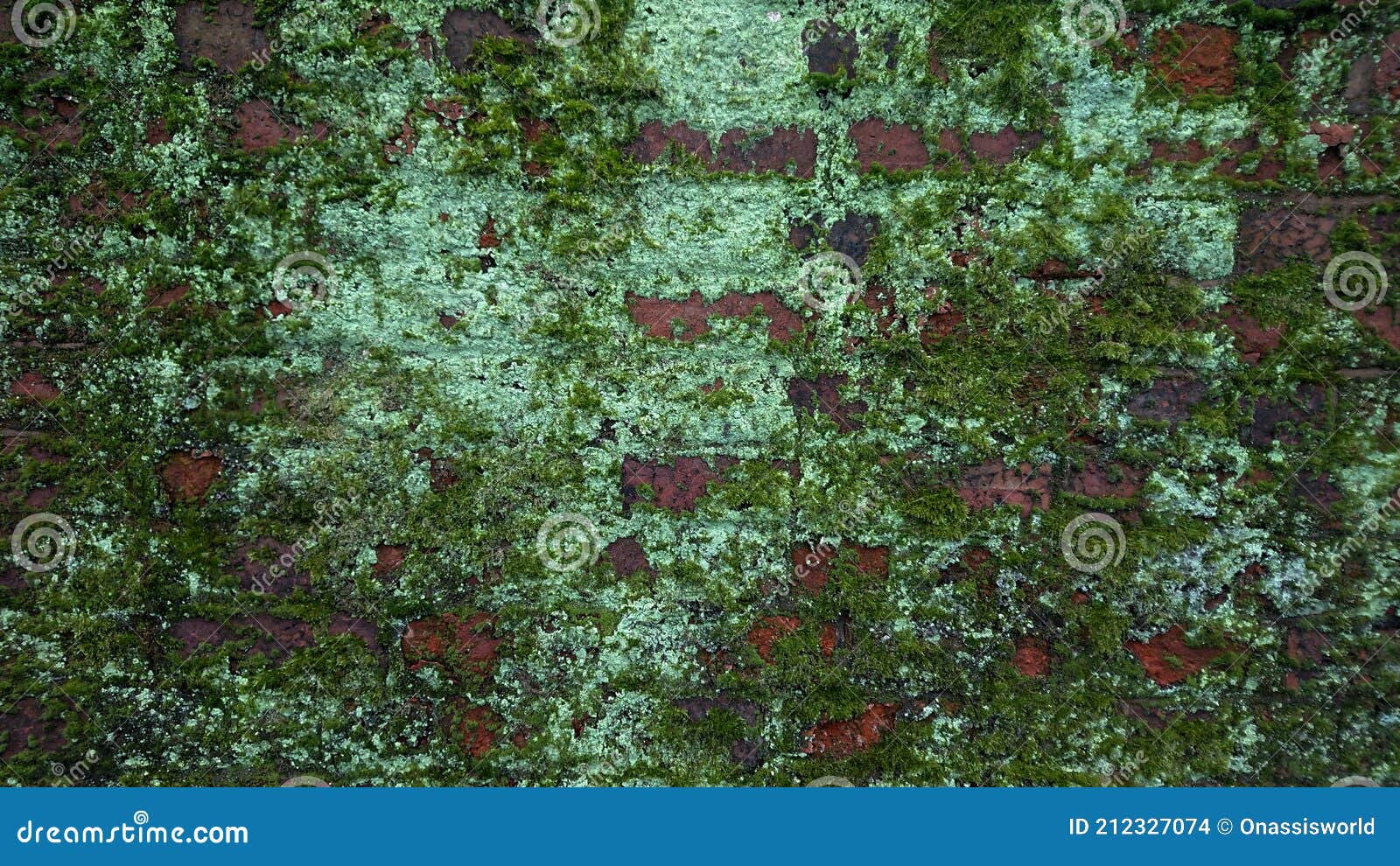 Red Brick Wall Covered in Moss Stock Photo - Image of wall, covered ...